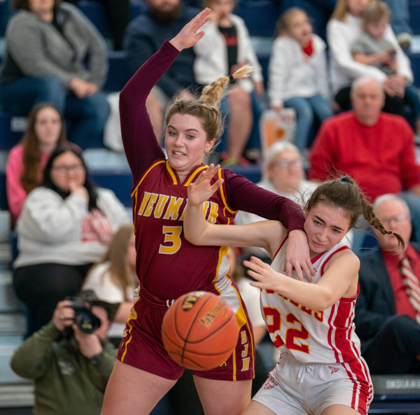 Neumann girls play hard but Lourdes ends their historic season in state ...